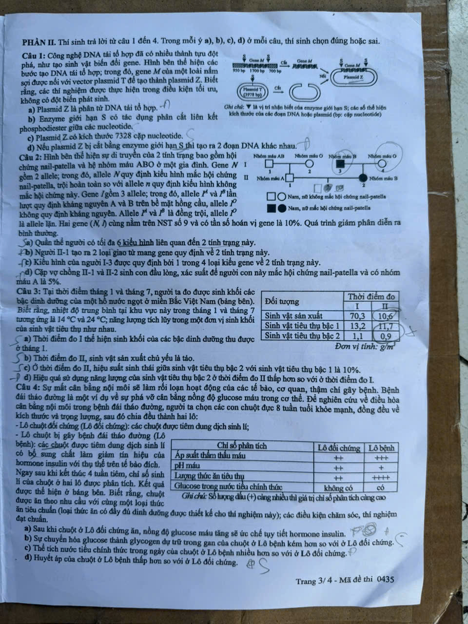 Đáp án đề thi tốt nghiệp THPT Quốc Gia môn Sinh Học 2025